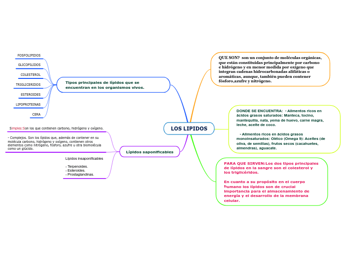 LOS LIPIDOS - Mind Map